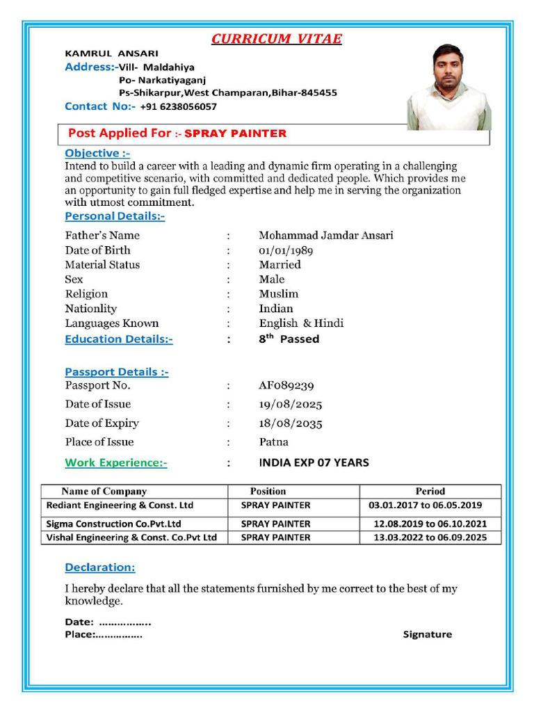 Mohammad Jamdar Ansari - Spray Painter | PDF
