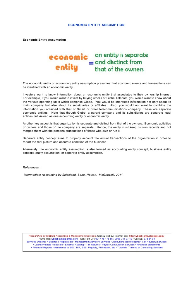 Economic Entity Assumption | PDF