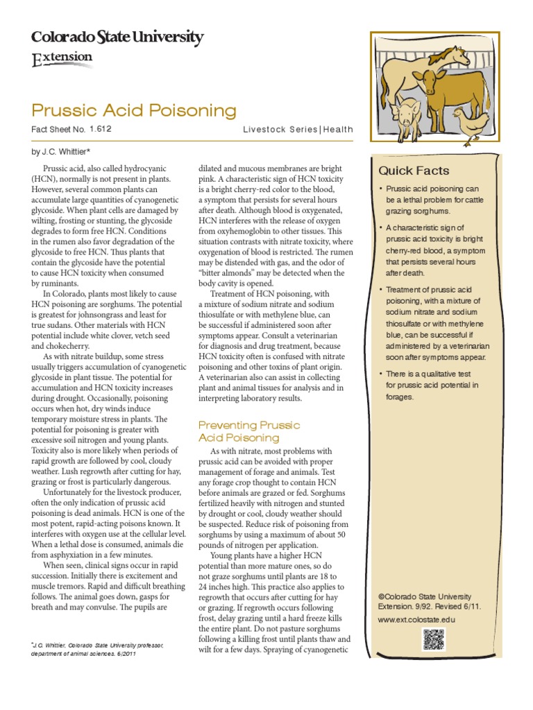 Prussic Acid Poisoning: Quick Facts | PDF | Hay | Nitrate