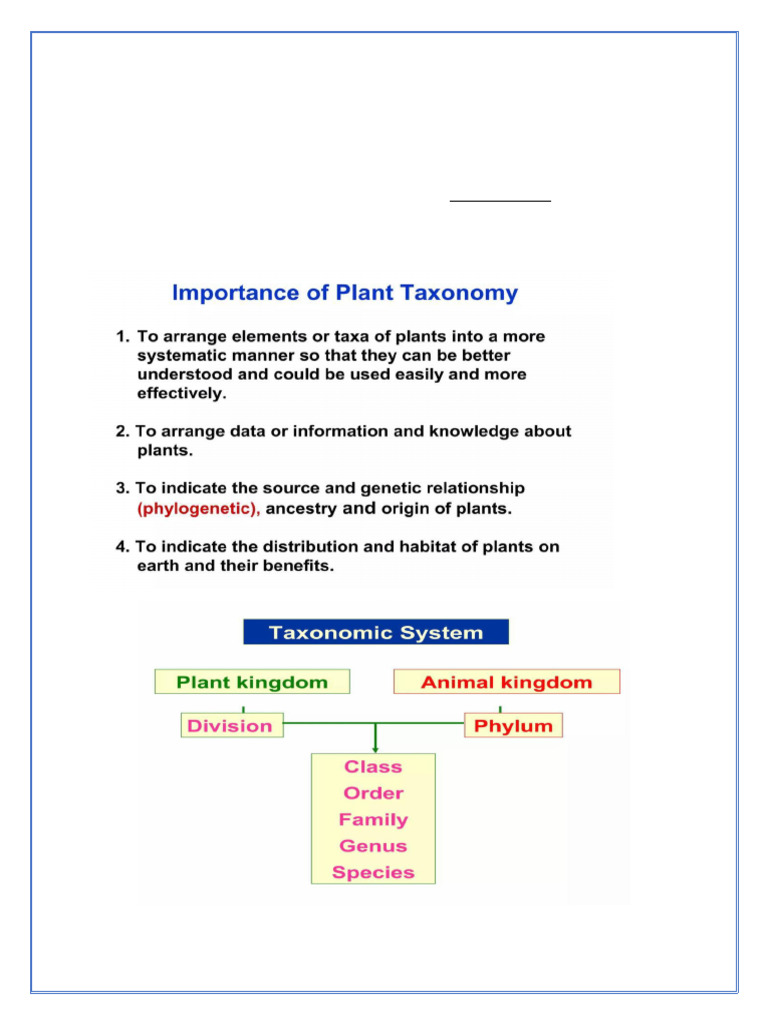 Lab 1 Plant Taxonomy | PDF