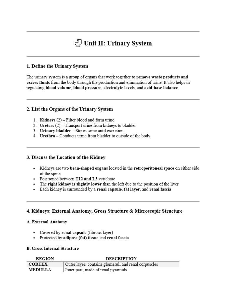 Unit.02 Urinary System | PDF | Kidney | Urinary System