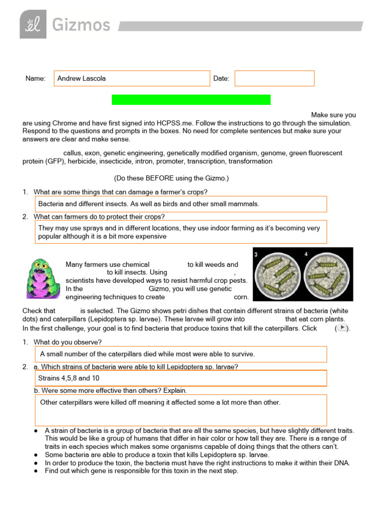 Genetic Engineering Gizmo Activity A | PDF | Gene | Promoter (Genetics)