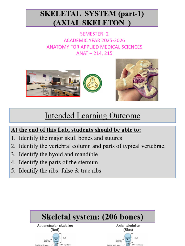 Practical 03 - Anatomy of The Skeletal System - 1, ANTM 214, 215 ...