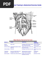 Abs Workout PDF | PDF | Abdomen | Pelvis