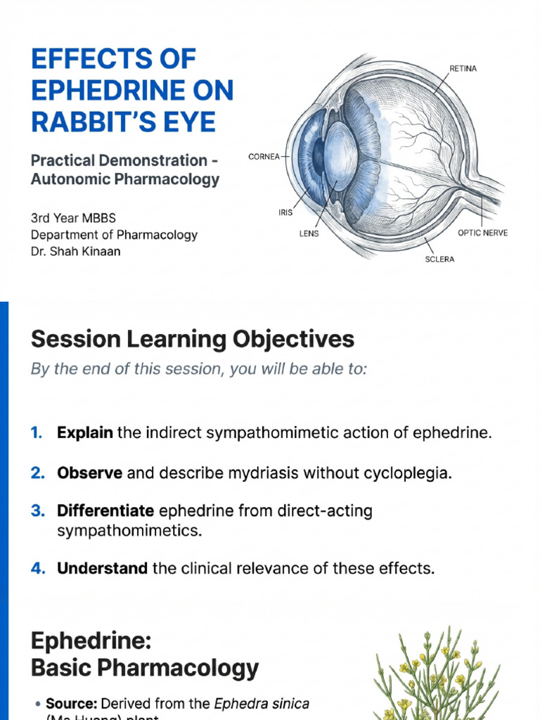 Ephedrine Effects Rabbit Eye Pharmacology PDF | PDF