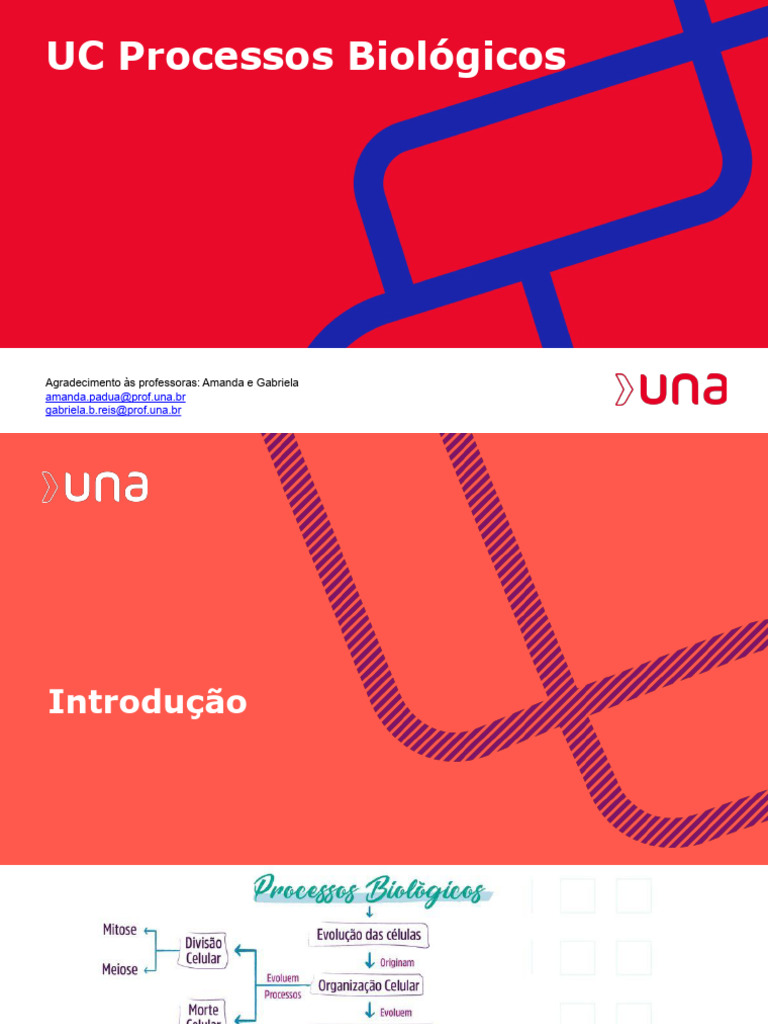 UC PB Citologia Nova | PDF | Citoplasma | Retículo endoplasmático