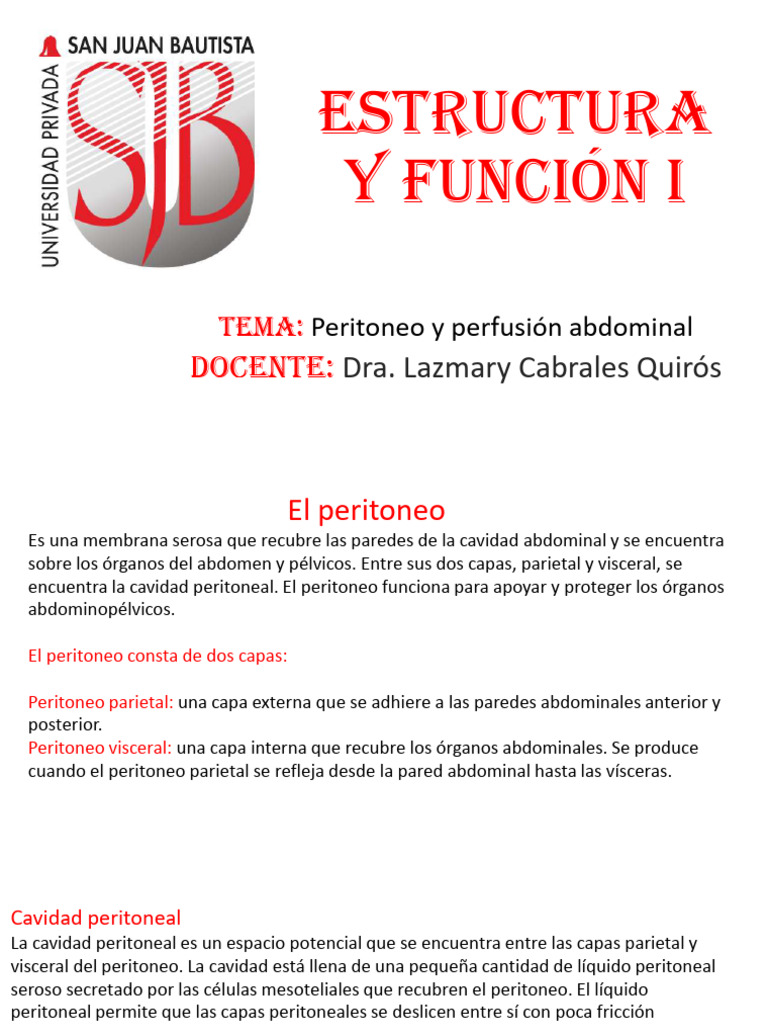 Peritoneo | PDF | Abdomen | Peritoneo