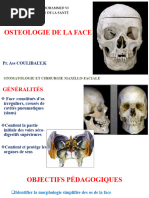 Anatomie des Os du Visage Humain | PDF | Anatomie humaine | Appareil ...
