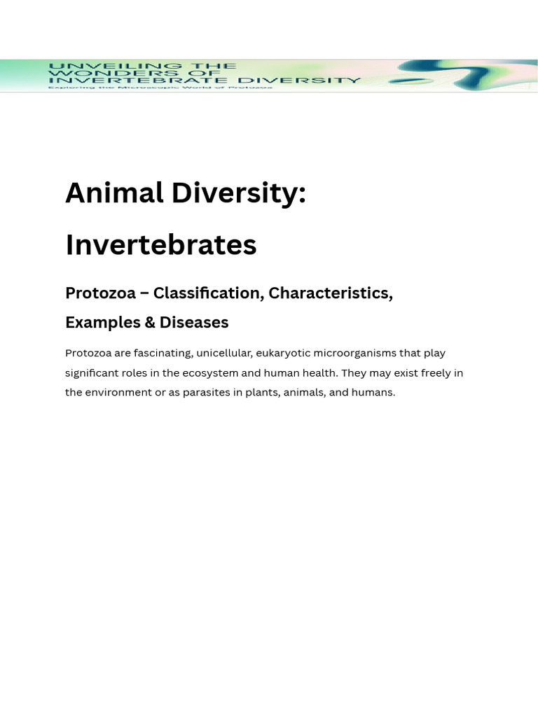 Animal Diversity Invertebrates | PDF | Protozoa | Biology