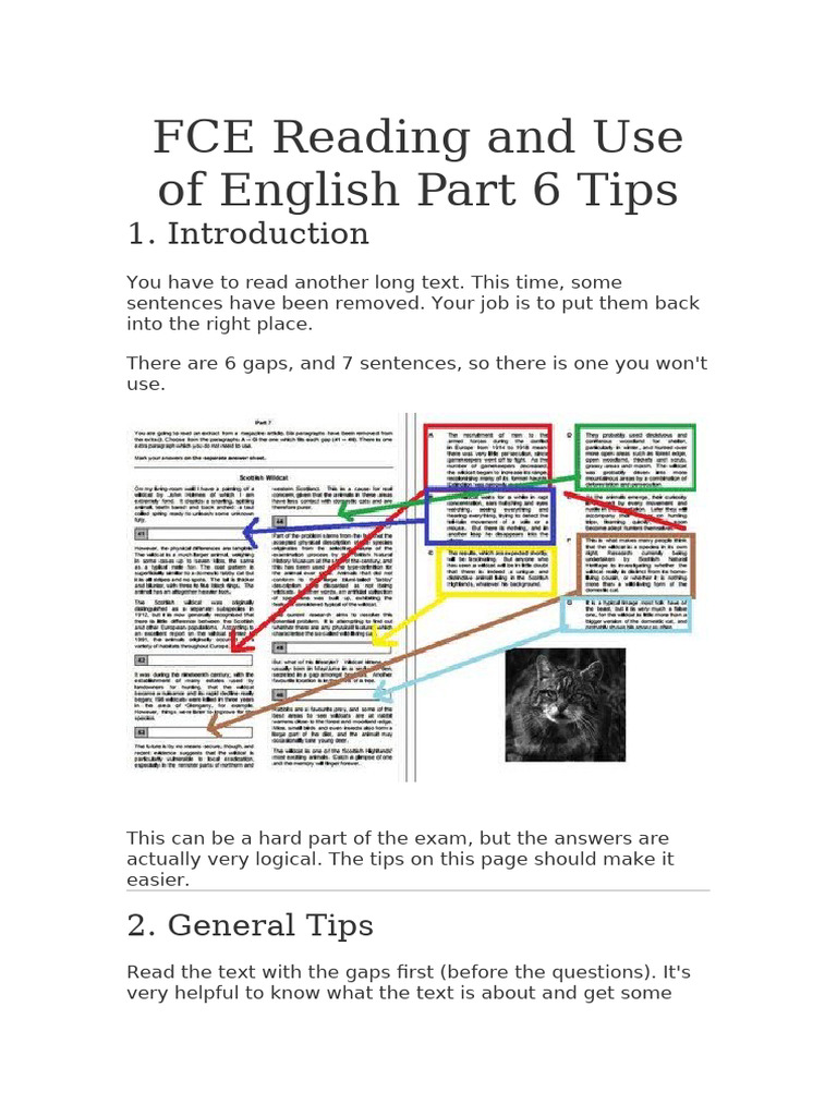 FCE Reading and Use of English Part 6 Tips | PDF | Languages | Foreign ...