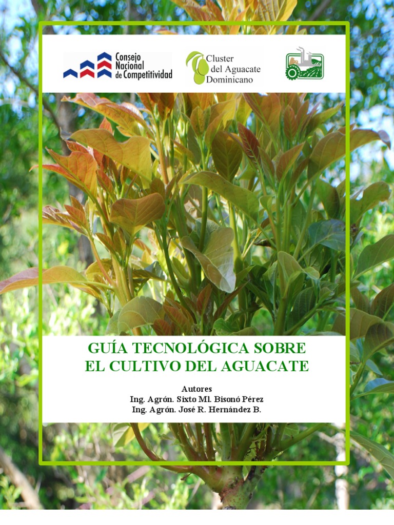 Guia Tec Aguacate | PDF