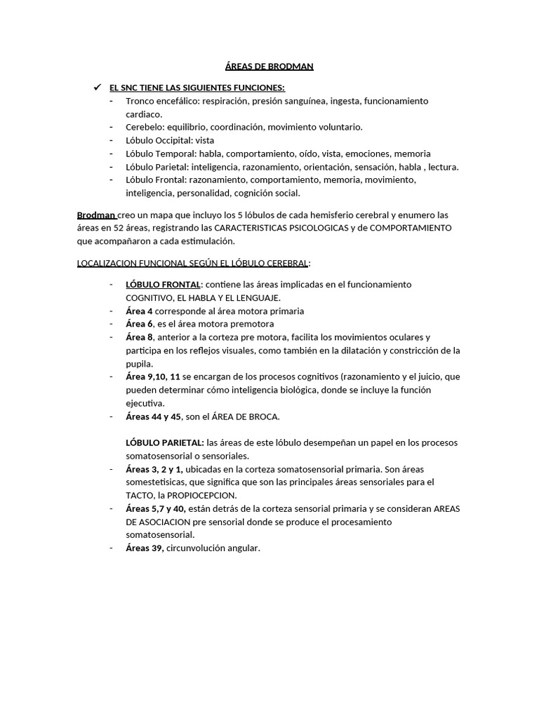 Areas de Brodman | PDF | Lóbulo temporal | Sistema somatosensorial