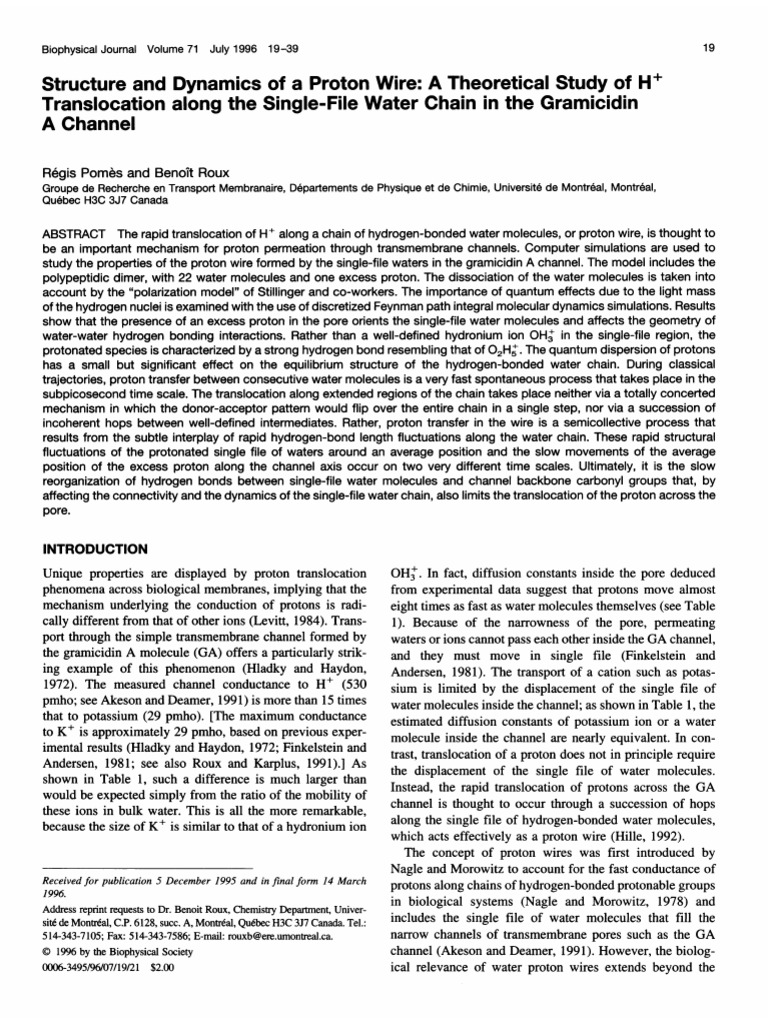 Biophysj00045 0019 | PDF | Hydrogen Bond | Molecular Dynamics
