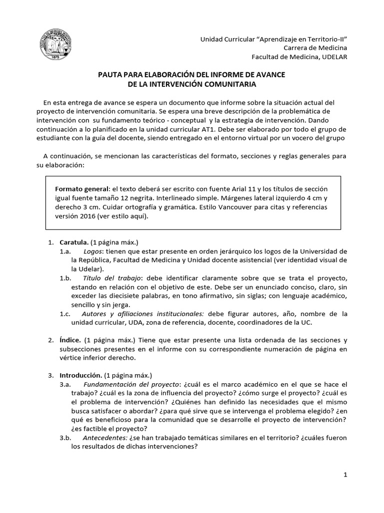 Pauta Elaboracion Avance Informe IC UCAT2 | PDF | Plagio