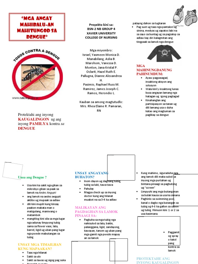 Dengue Pamphlet | PDF