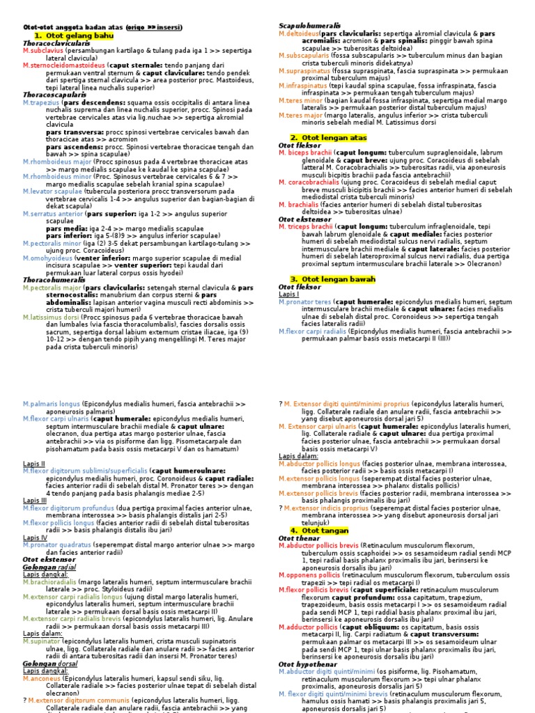 Origo-Insersio Otot Ekstremitas Atas | PDF