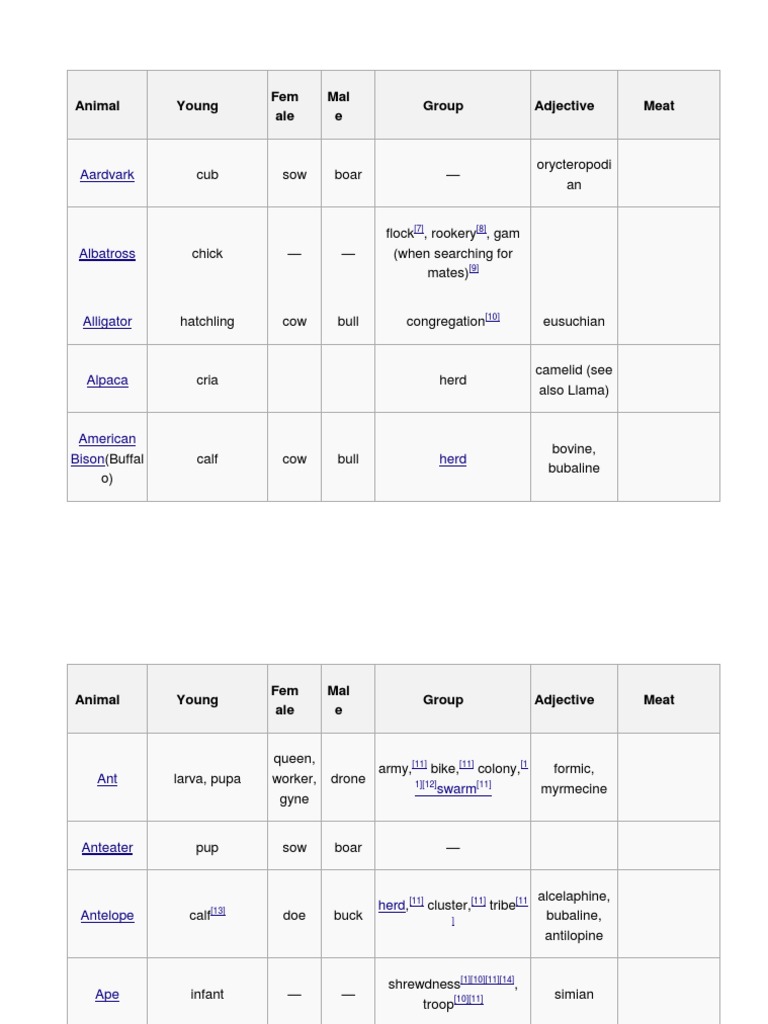 Animal Young Fem Ale Mal e Group Adjective Meat: Cub Sow Boar ...