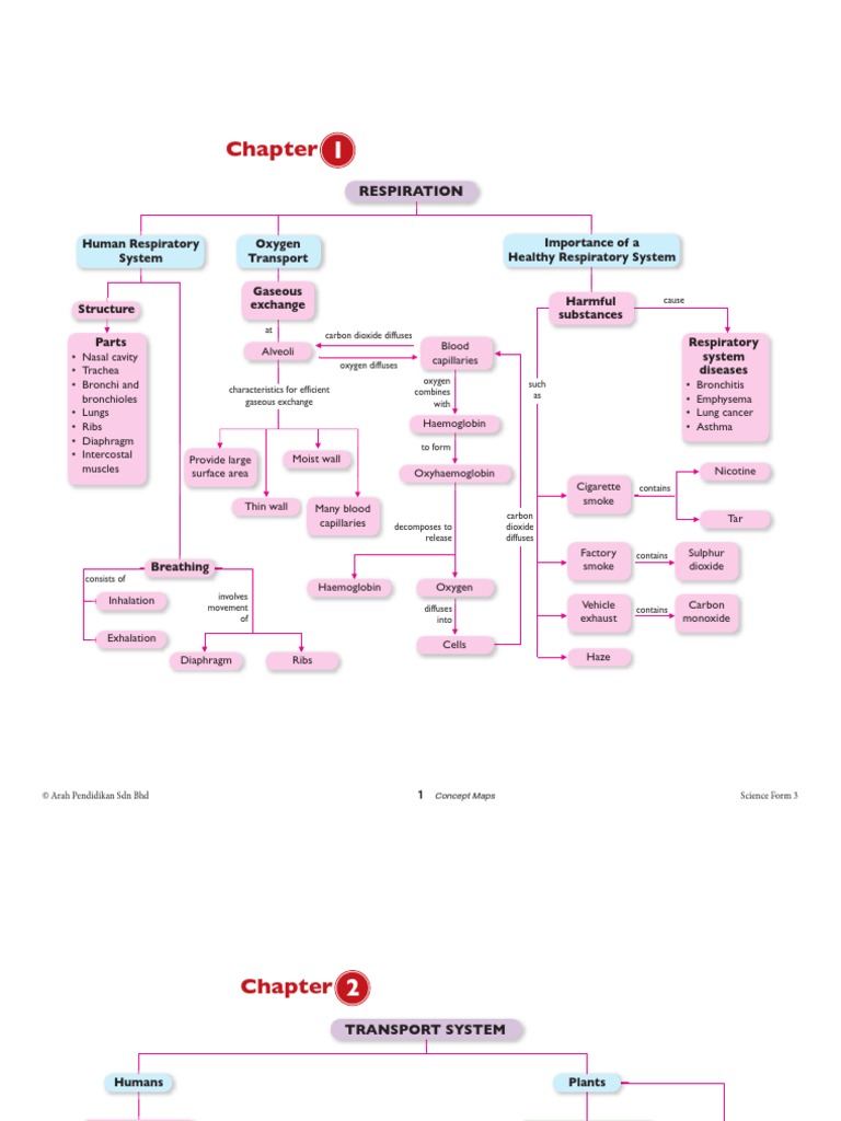 Concept Maps | PDF | Respiratory System | Stars
