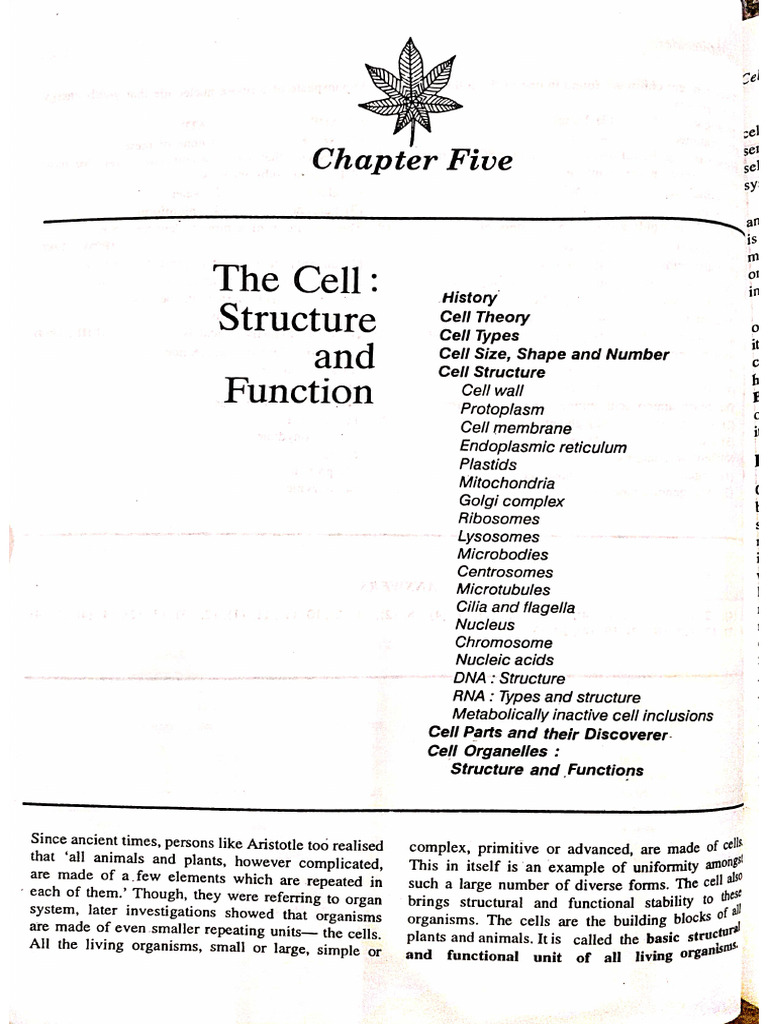 The Cell | PDF