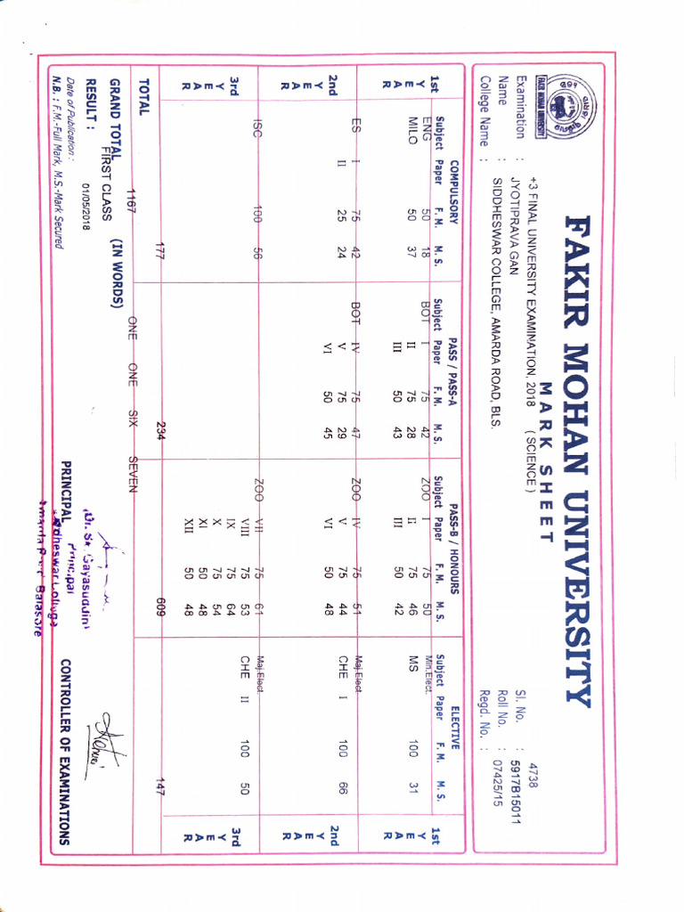 +3 Mark Sheet Jyotiprava | PDF