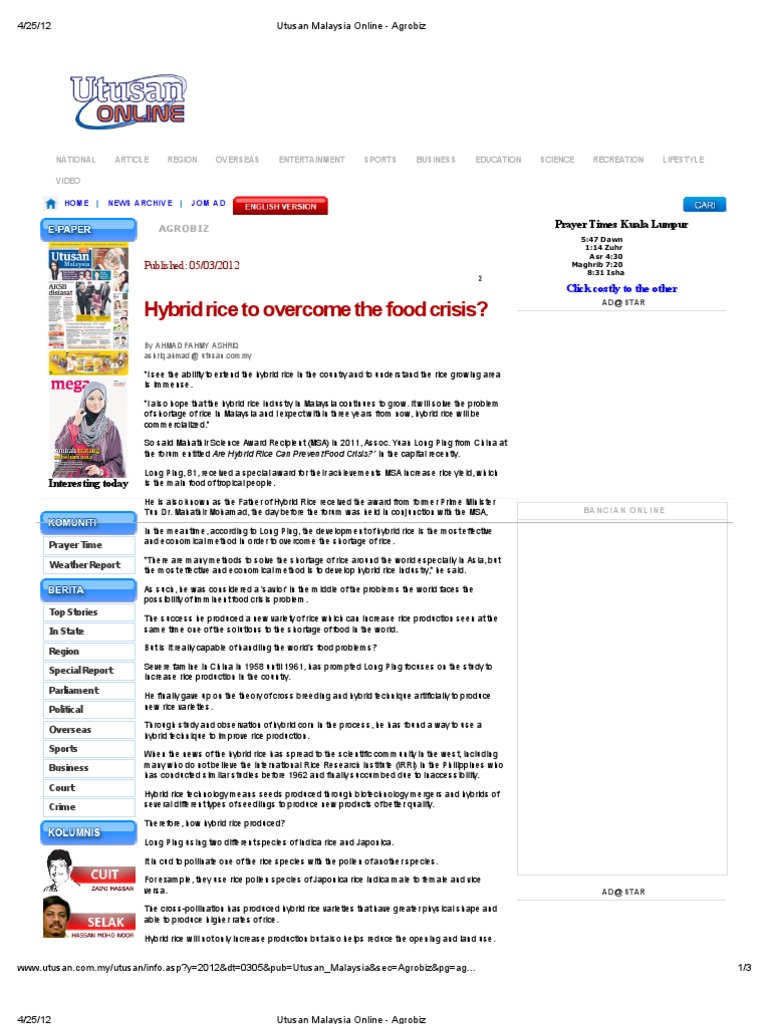 Utusan Malaysia Online - Agrobiz | PDF | Rice | Plant Breeding