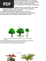 Edible Parts of Plants Explained | PDF | Fruit | Vegetables