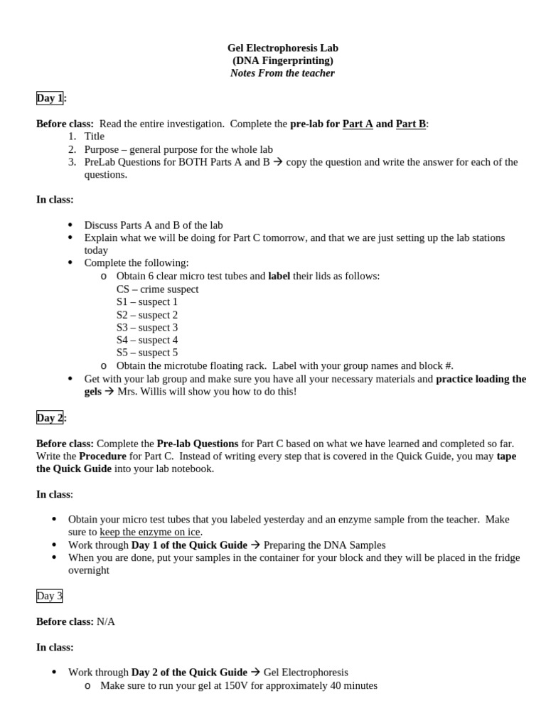 Gel Electrophoresis Lab | PDF | Restriction Enzyme | Gel Electrophoresis