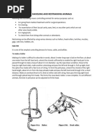 Goat Restraint Techniques and Tools | PDF | Goat | Immunology