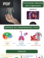 Escala AVDI en Primeros Auxilios | PDF | Coma | Neurología