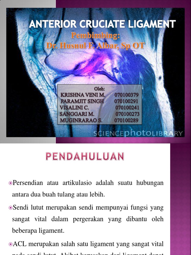 Anatomi, Fungsi, dan Penanganan Cedera Ligamen Kreuz Anterior (ACL ...
