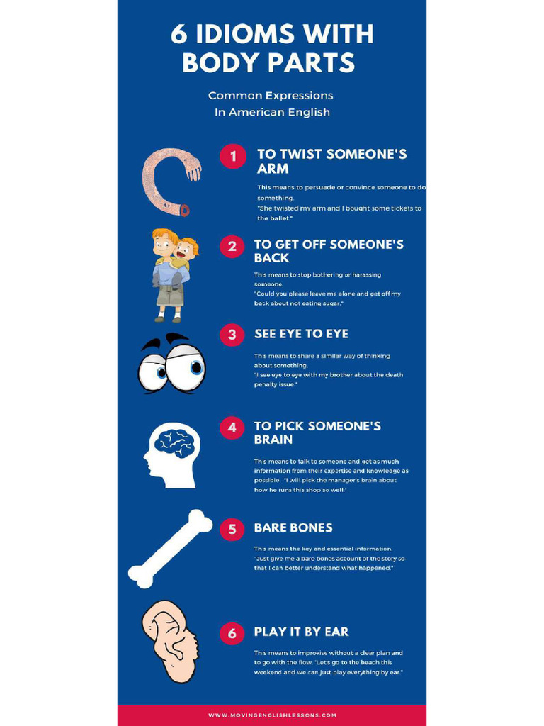 Body Idioms | PDF