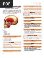 Anatomia da Tuberosidade Massetérica | PDF | Tecido macio | Sistema ...