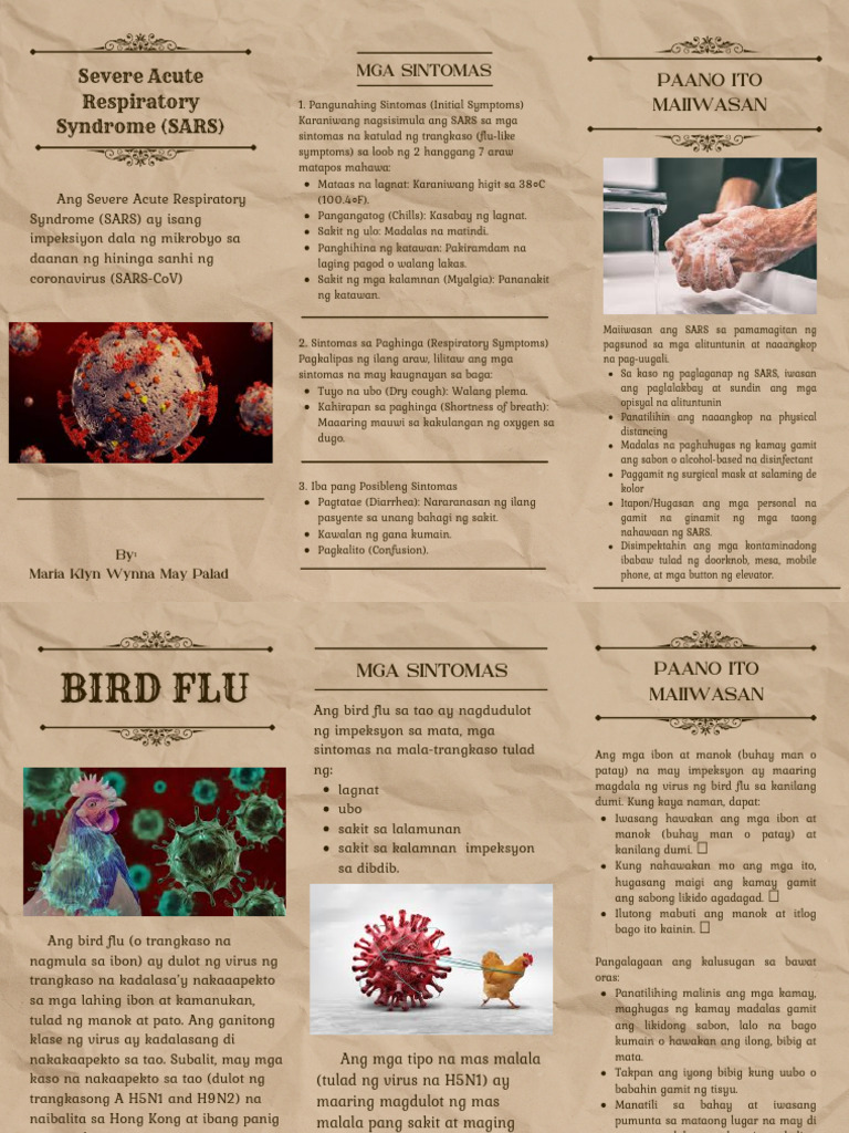 Brown Illustrated Newspaper Trifold Brochure | PDF