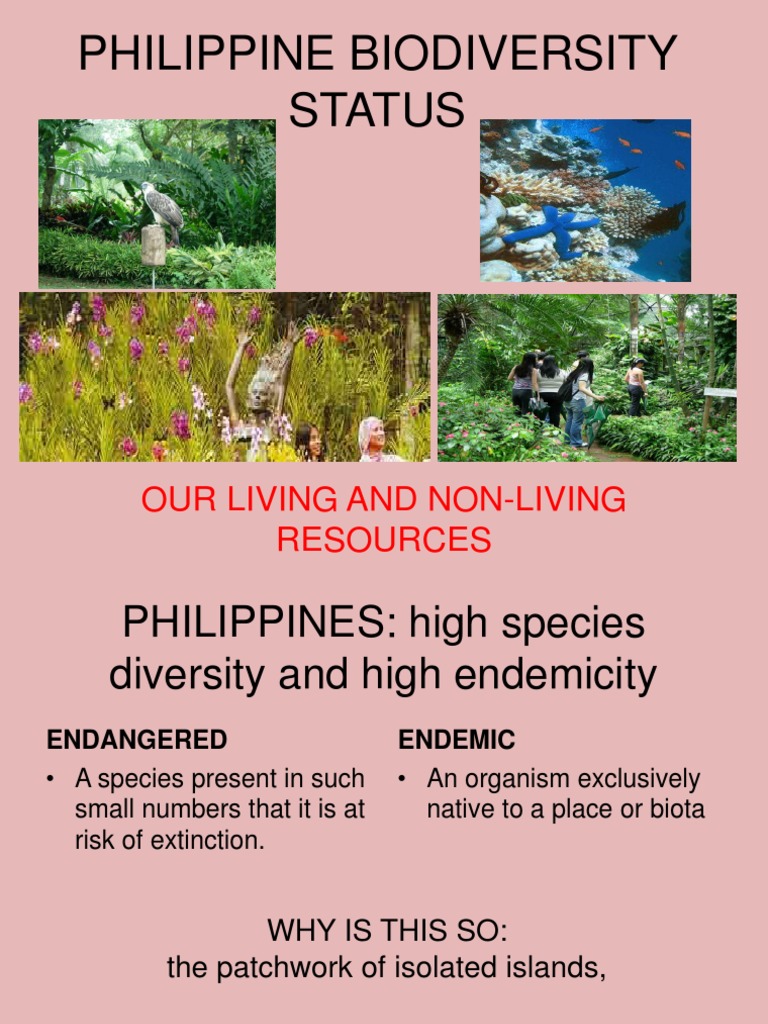 Philippine Biodiversity | Conservation | Nature