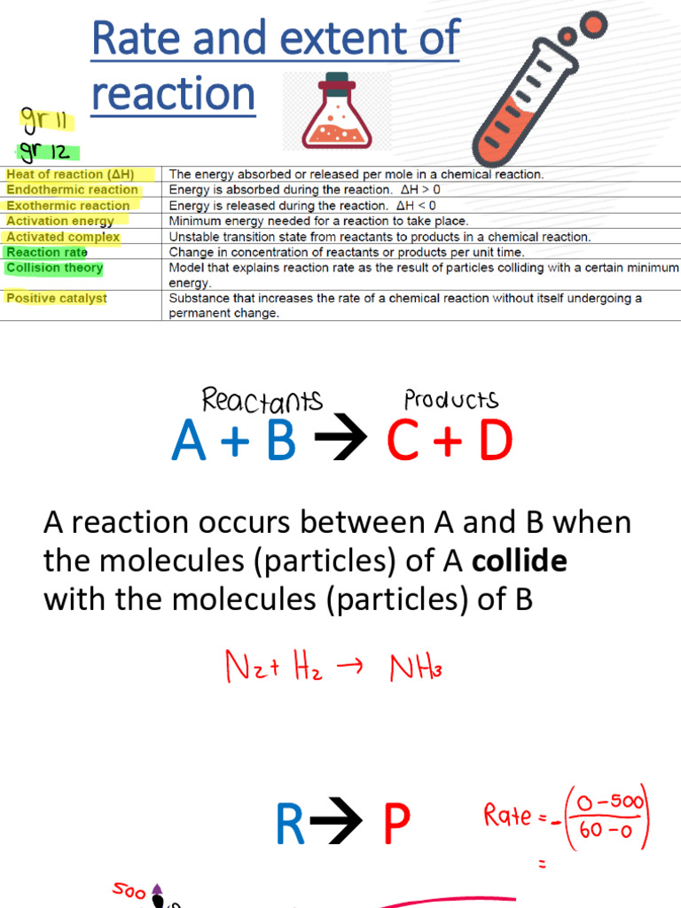 Rates of Reaction 2025 | PDF | Reaction Rate | Chemical Kinetics