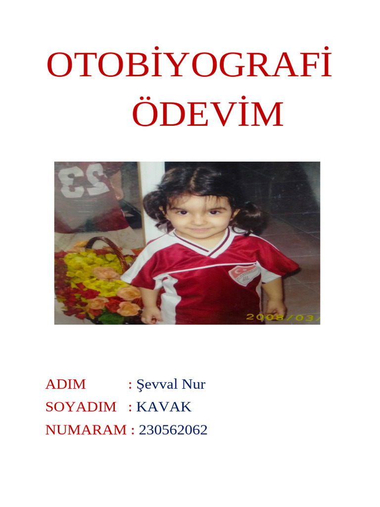 Sevval Oto | PDF