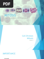 Mitosis Mover Activity Guide | PDF | Mitosis | Chromosome