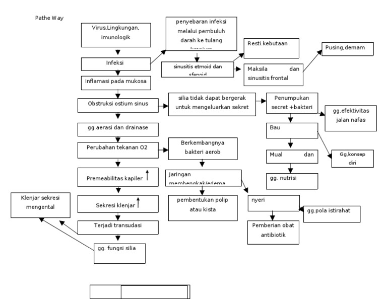 Pathway Sinusitis | PDF