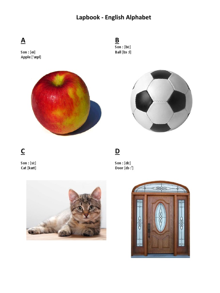 Lapbook - English Alphabet | PDF