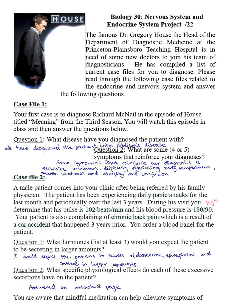 Bio 30 Nervous and Endo Project | PDF | Medical Specialties | Physiology