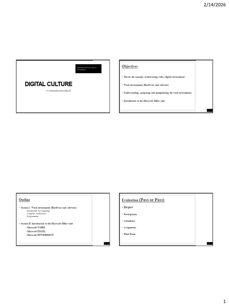Digital Culture - Handout | PDF
