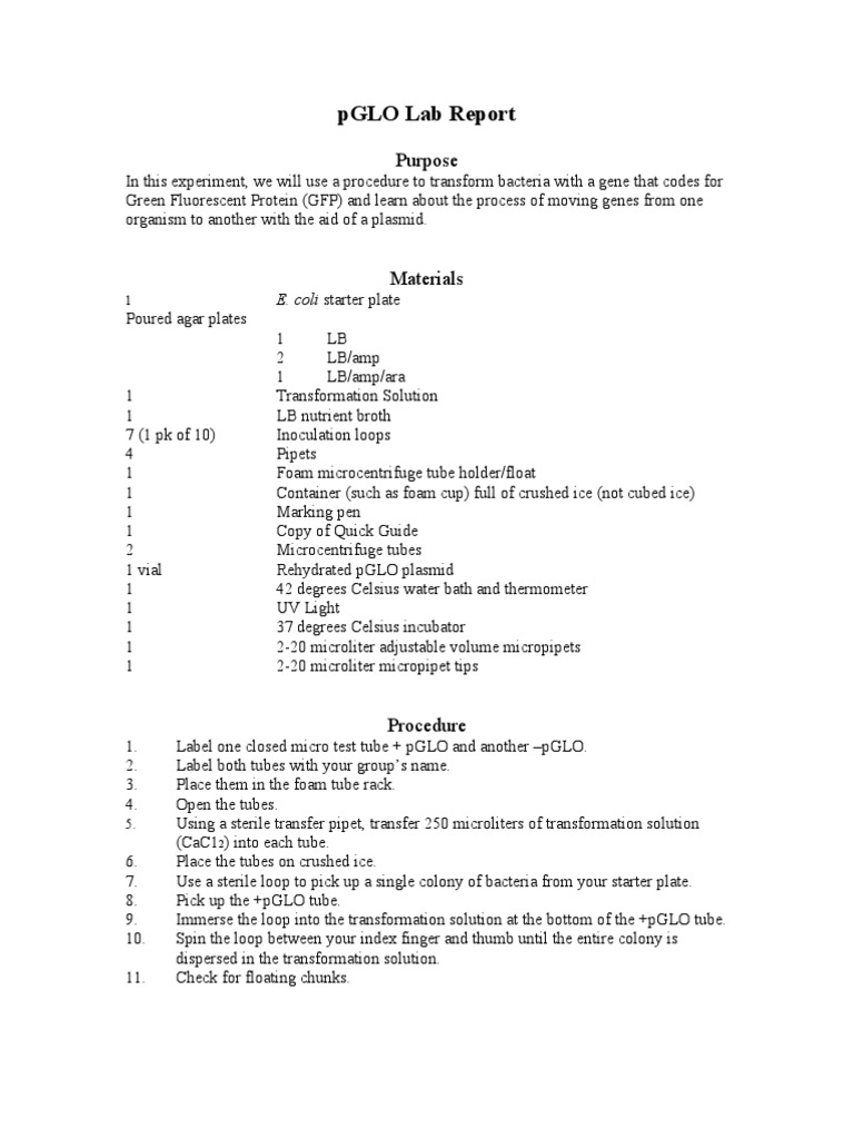 Bio pGLO Lab Report | PDF | Transformation (Genetics) | Bacteria