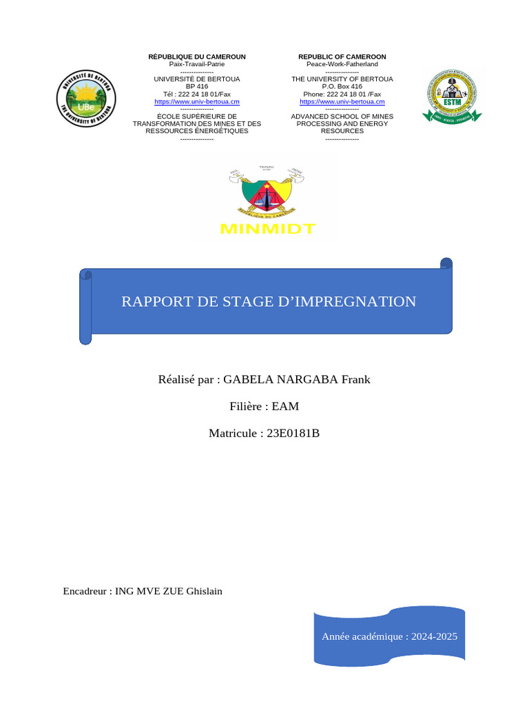 Rapport de Stage Gabela | PDF | Loi | Exploitation minière