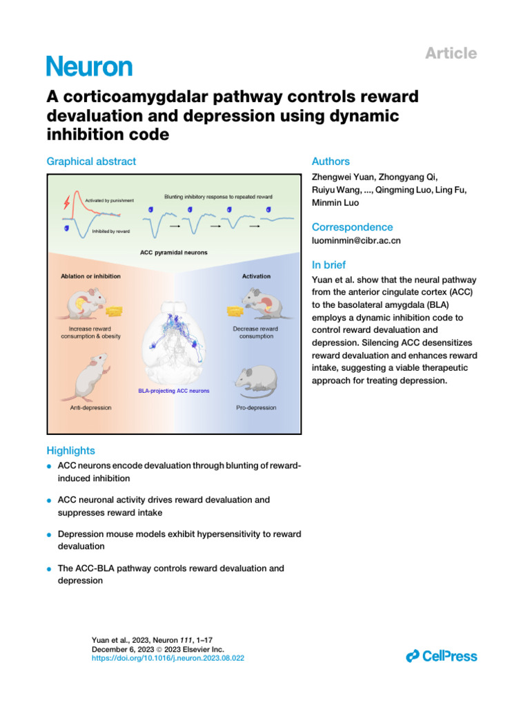 A Corticoamygdalar Pathway Controls Source Neuron So 2023 | PDF ...