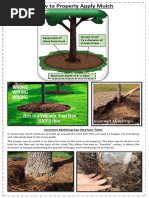 NJUG Tree Protection Guidelines 2025 | PDF | Trees | Root