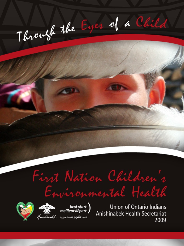 First Nations Trough The Eyes of A Child | PDF | Air Pollution | Pregnancy