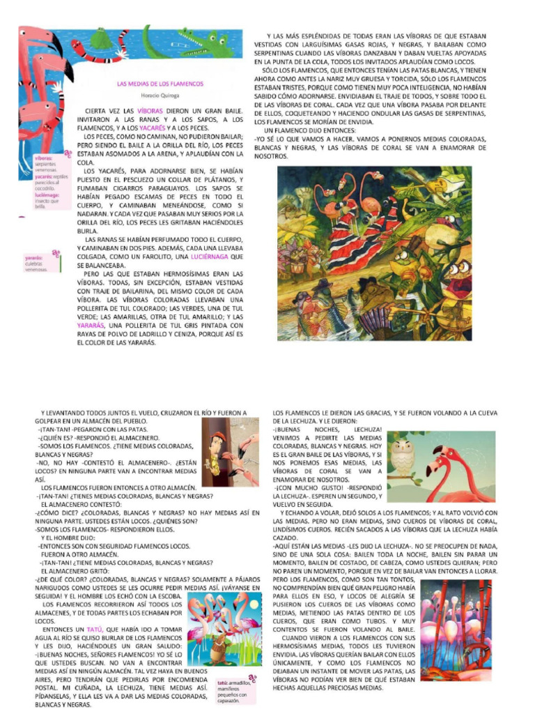 Las Medias de Los Flamencos | PDF