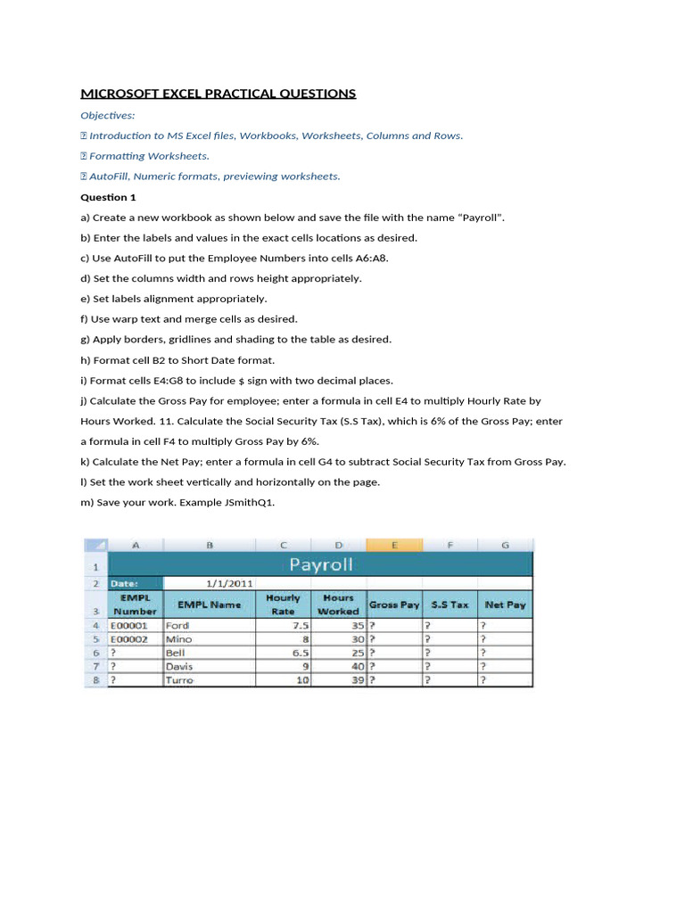 MS Excel Form 3 Practical | PDF