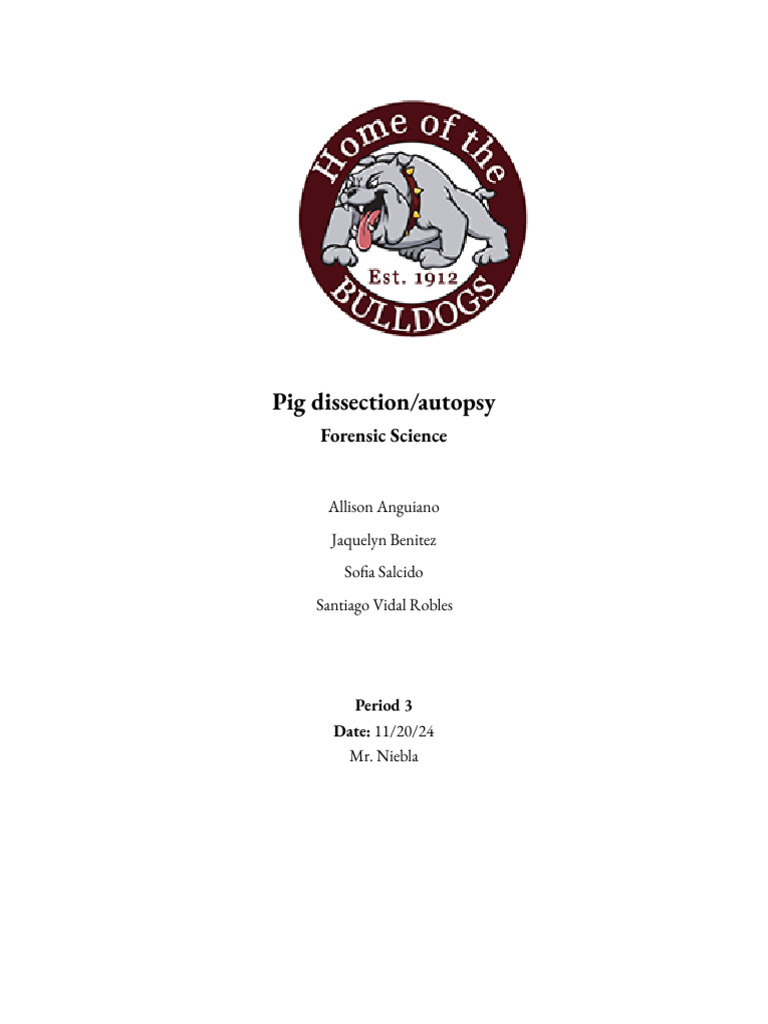 Lab Report (Pig Autopsy) | PDF | Heart | Heart Valve