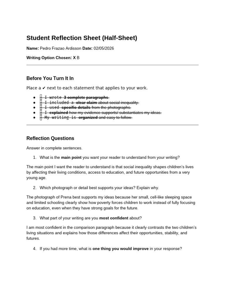 Pedro Frazao Ardisson - Student Reflection Sheet (Half-Sheet) | PDF
